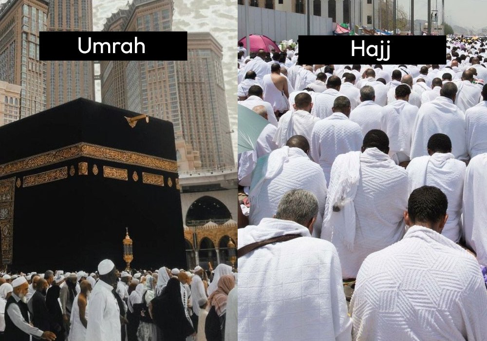 Difference Between Hajj and Umrah for US Muslims | Majmua